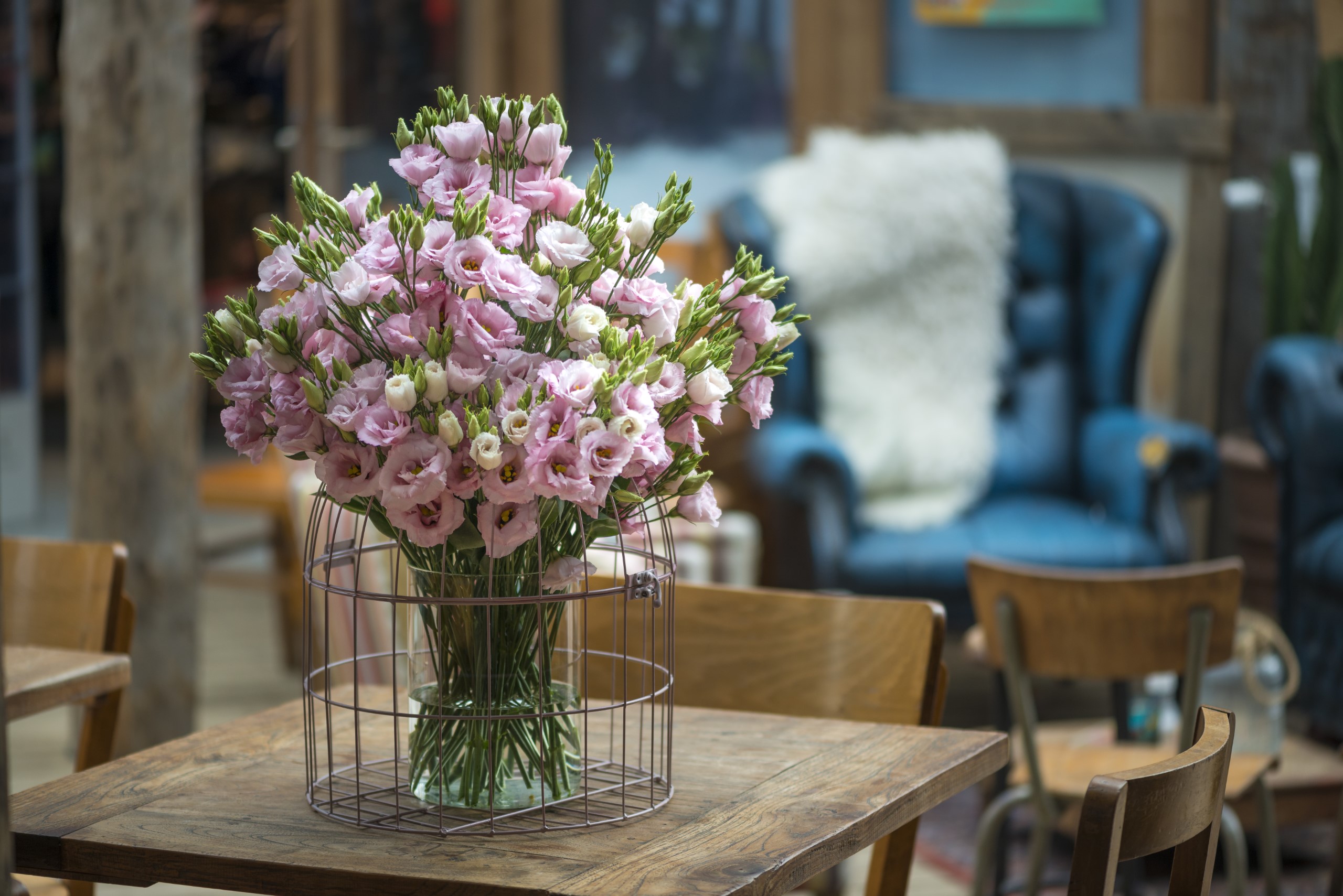 Inspiration - Lugt Lisianthus